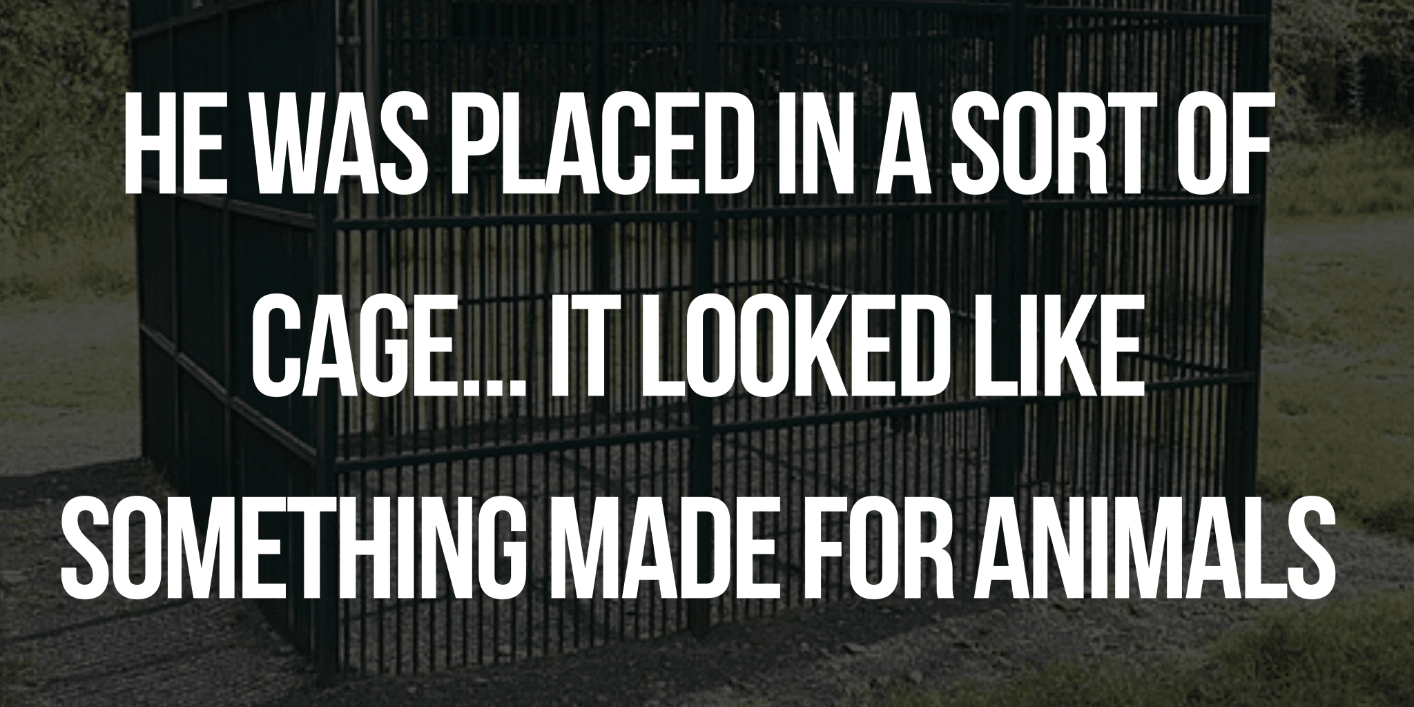 He was placed in a sort of cage... it looked like something made for ...